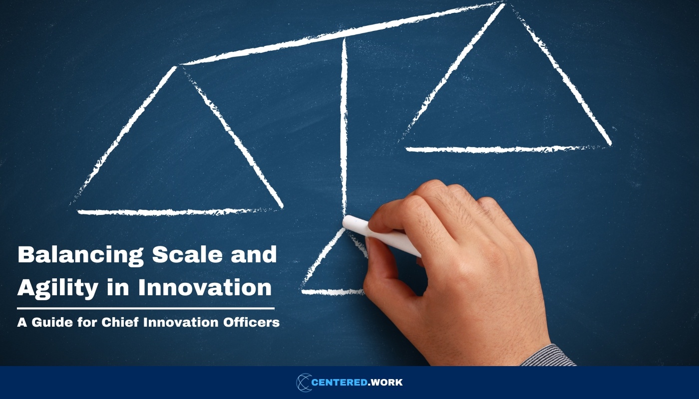 Balancing Scale and Agility in Innovation: A Guide for Chief Innovation ...