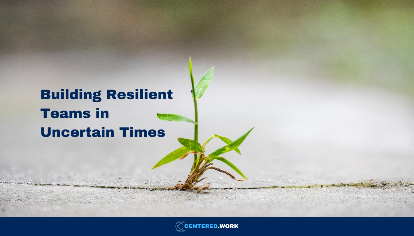 Building Resilient Teams in Uncertain Times
