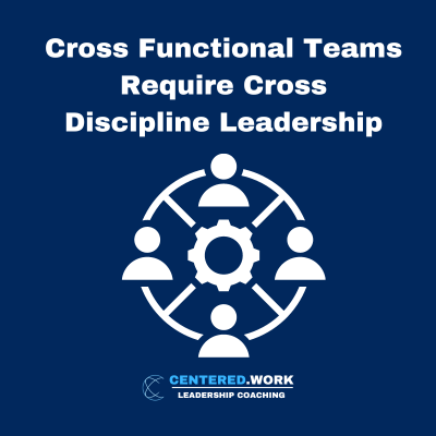 Cross Discipline Leadership